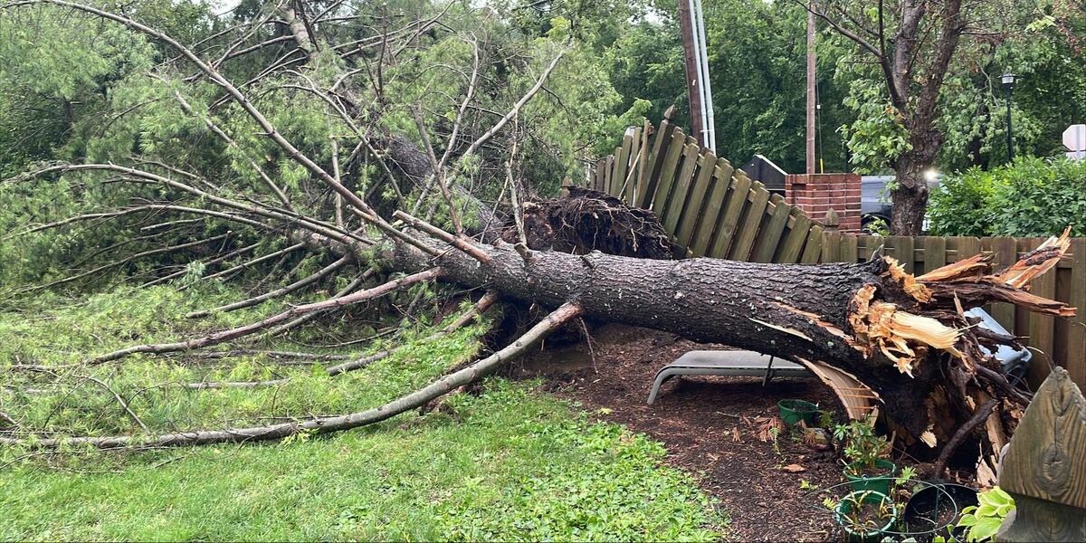 Storms leave behind downed power lines, trees in Eureka, flooding in ... Storms leave behind downed power lines, trees in Eureka, flooding in ...